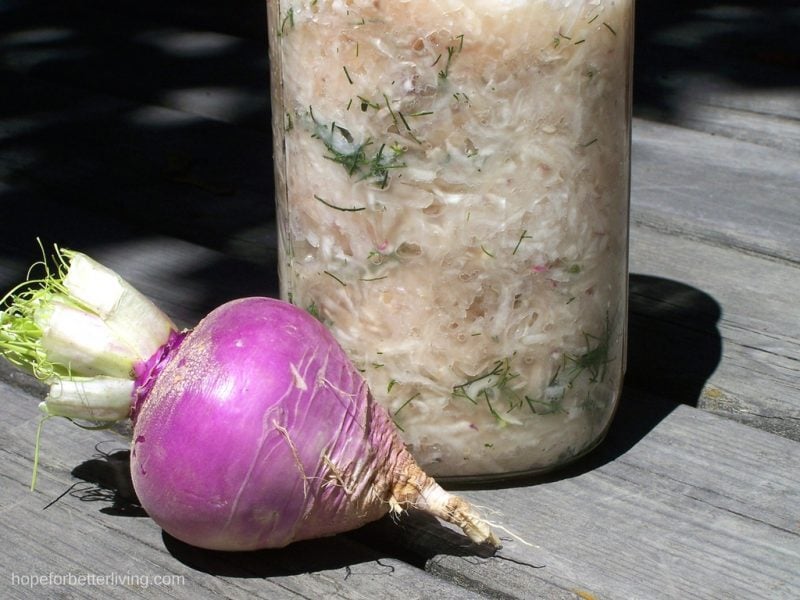 How to Make Fermented Turnip with Dill • A Traditional Life