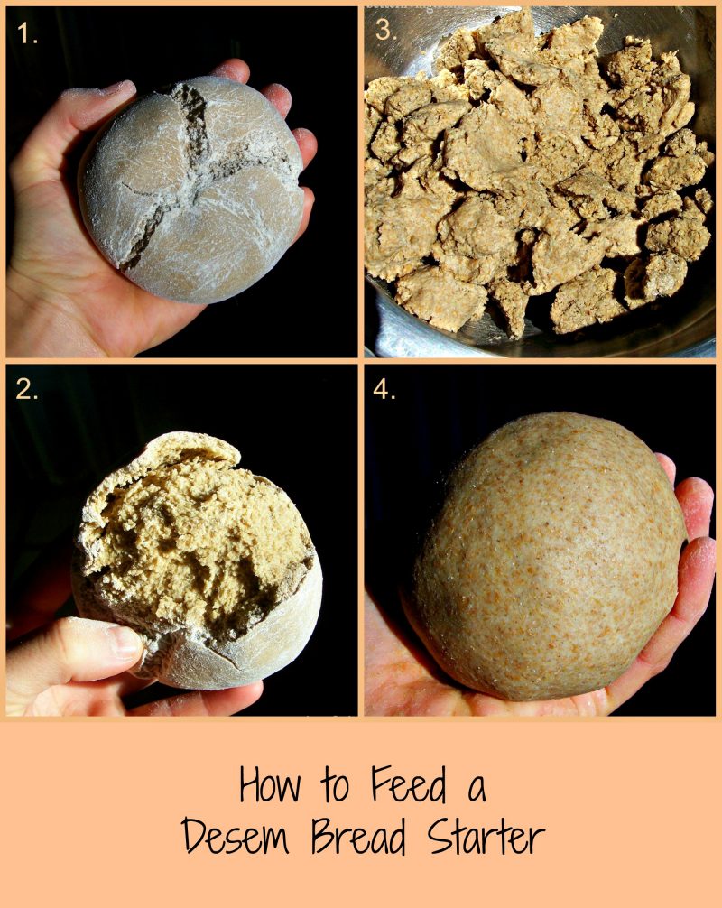 Desem Bread • a traditional life