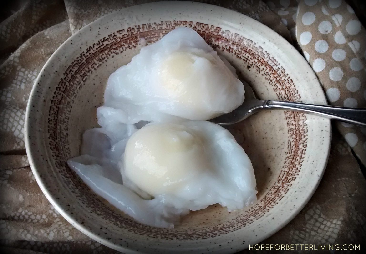 How to Ferment Hard Boiled Eggs • A Traditional Life