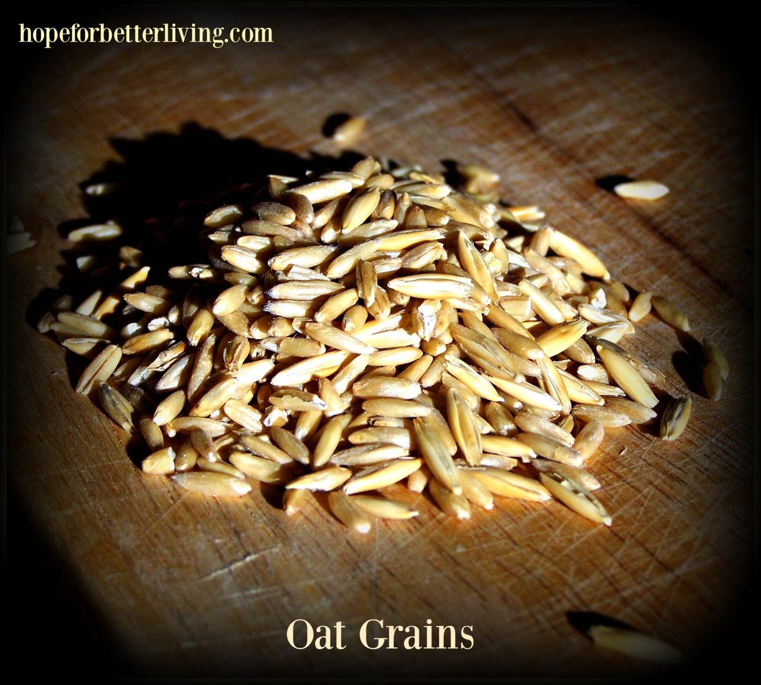 Why You Should Roll Oats at Home (and how to) • A Traditional Life