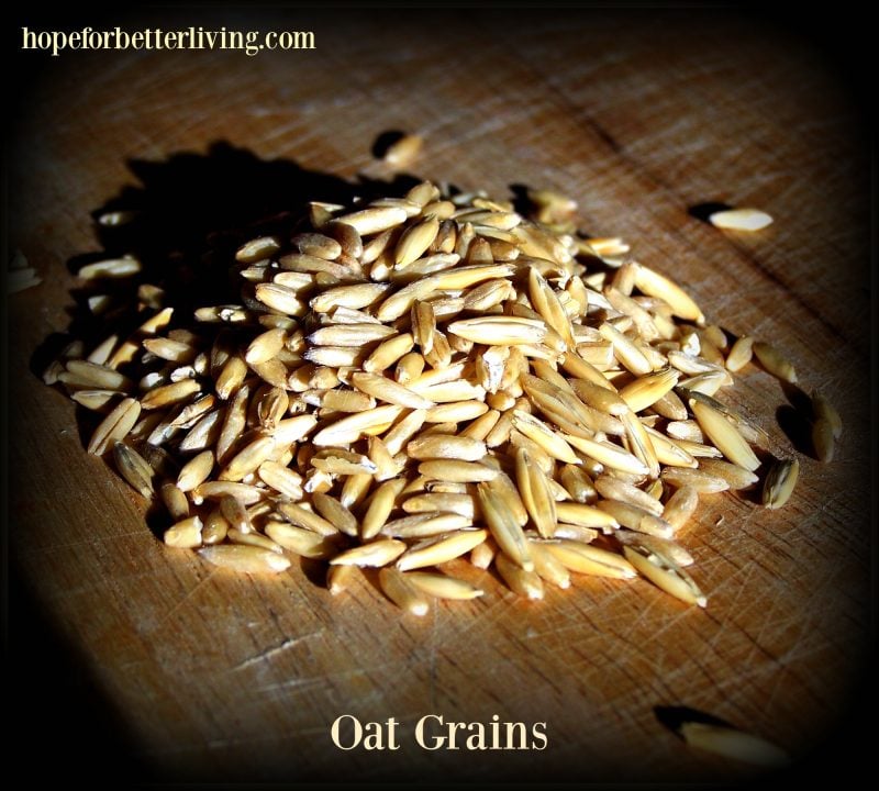 Why You Should Roll Oats at Home (and how to) • A Traditional Life