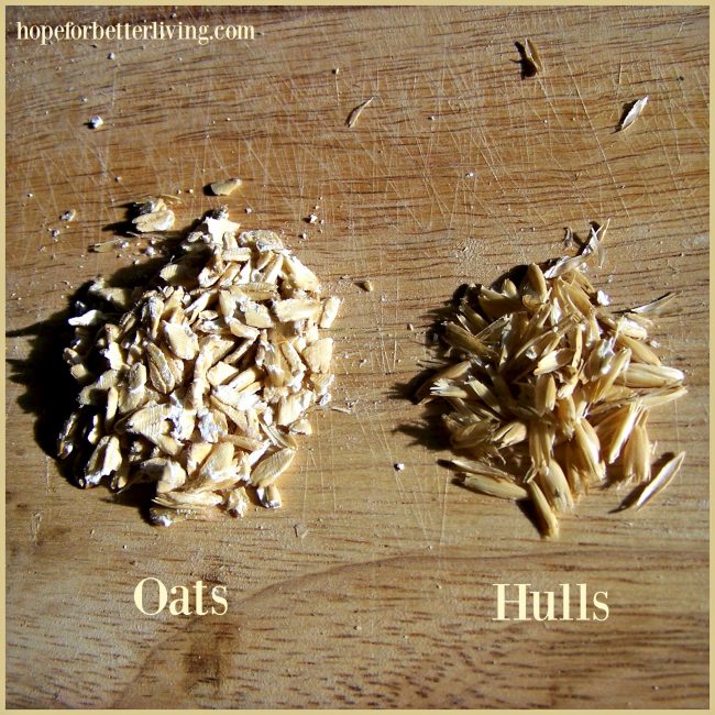 Why You Should Roll Oats at Home (and how to) • A Traditional Life