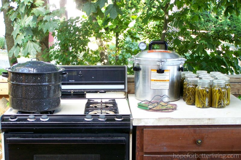 Pressure Canning Fish Recipe