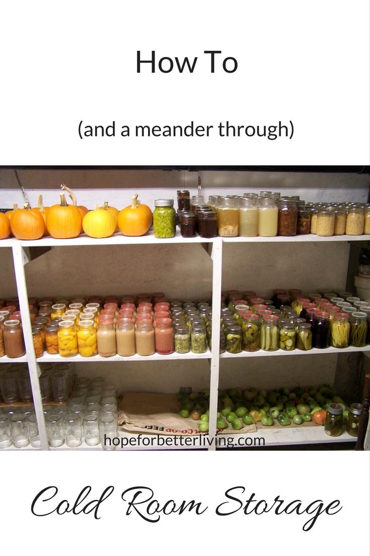 Cold Room Storage(1) • a traditional life