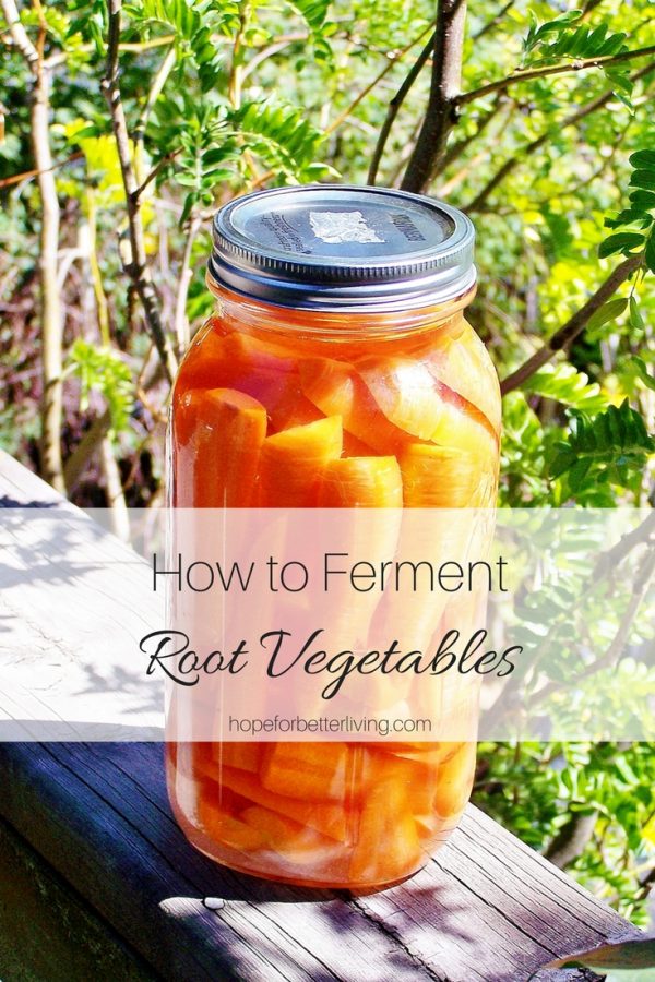 How to Ferment Root Vegetables • A Traditional Life
