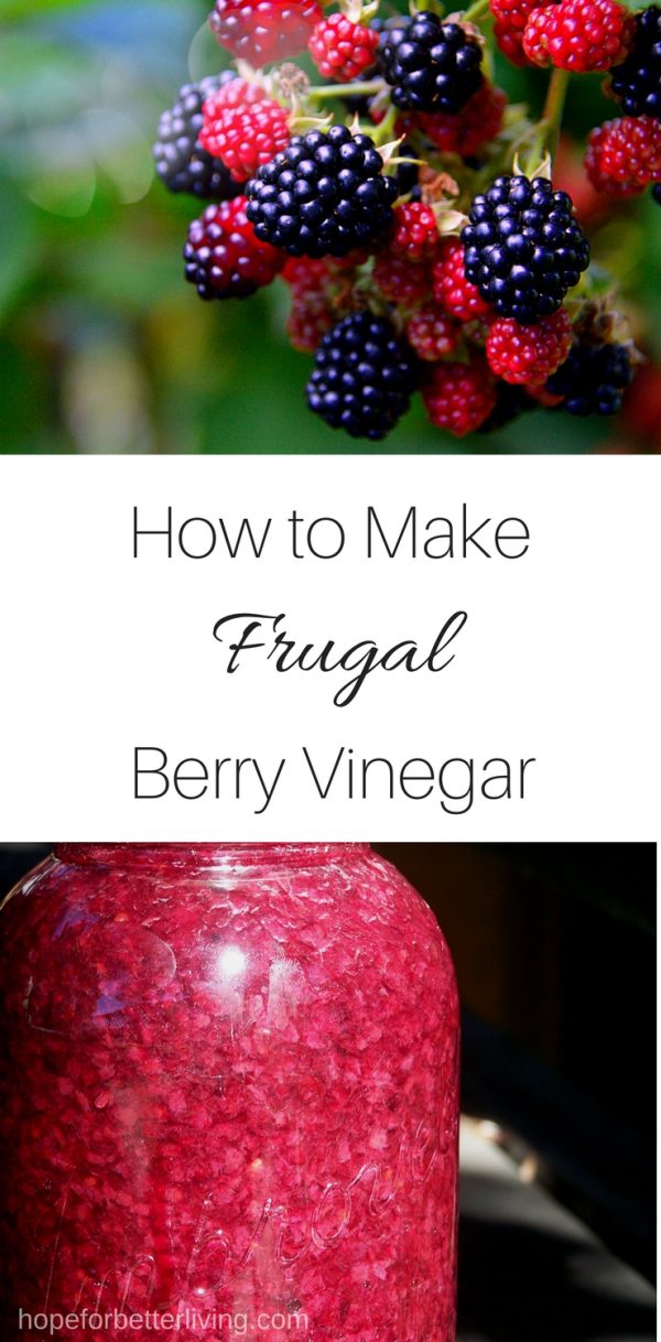 How to Make Frugal Berry Vinegar • a traditional life