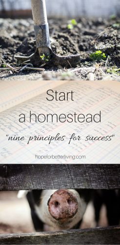 Start a Homestead: 9 Principles for Success • A Traditional Life