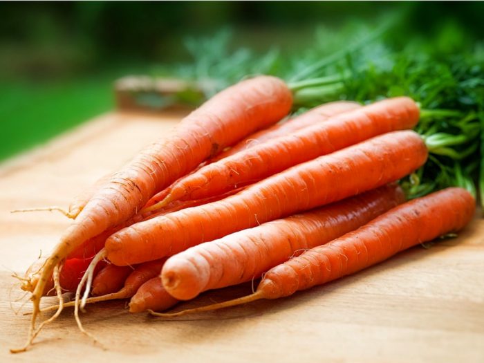 Why You Should Learn How to Glean • A Traditional Life