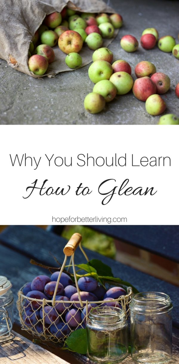 Why You Should Learn How to Glean • A Traditional Life