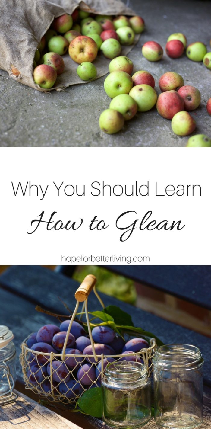 Why You Should Learn How to Glean • A Traditional Life