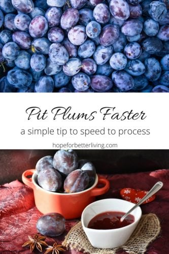 A Simple Method for Pitting Plums Faster • A Traditional Life