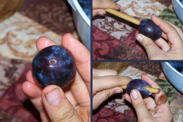 A Simple Method for Pitting Plums Faster • A Traditional Life