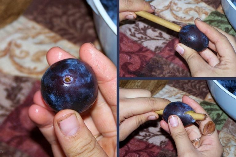A Simple Method for Pitting Plums Faster • A Traditional Life