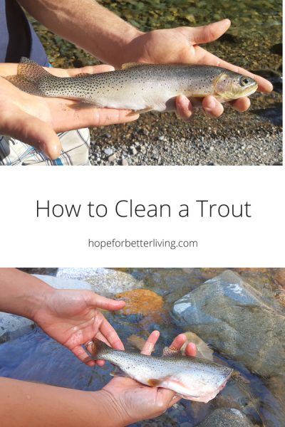How to Clean a Trout • a traditional life
