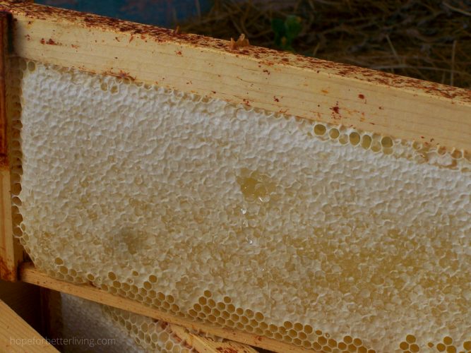 How to Prepare Beeswax for Home Use