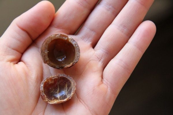 DIY Natural Bathroom Cleaner Recipe • Soap Nut Household Cleaner