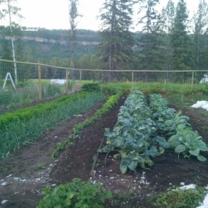 Our Featured Reader: Sarah Weitzel • a traditional life