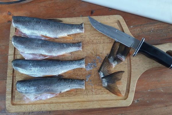 Pressure Canning Fish Recipe
