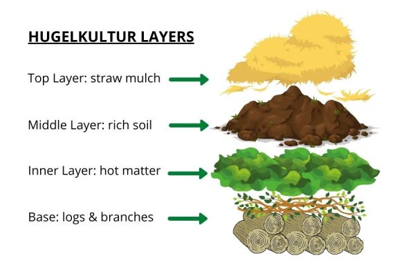 How to Build a Hugelkultur Bed • A Traditional Life