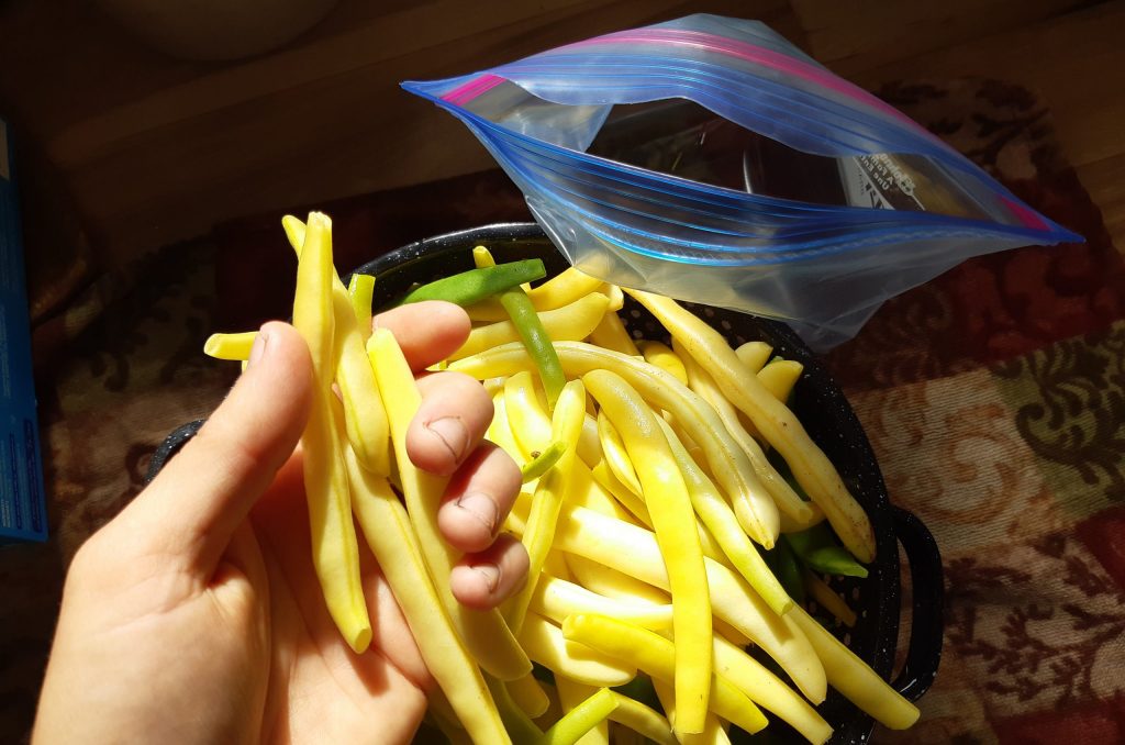 Freezing Snap Beans the Easy Way • a traditional life