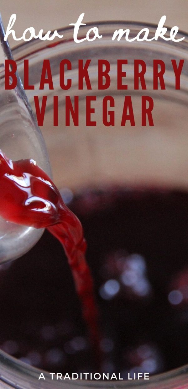 DIY Blackberry Vinegar • A Traditional Life