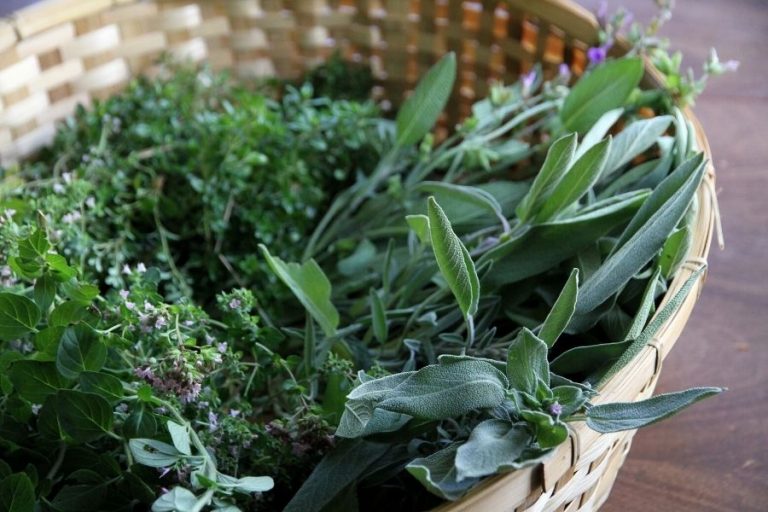 How to Make a Herbal Swag for Your Kitchen • A Traditional Life