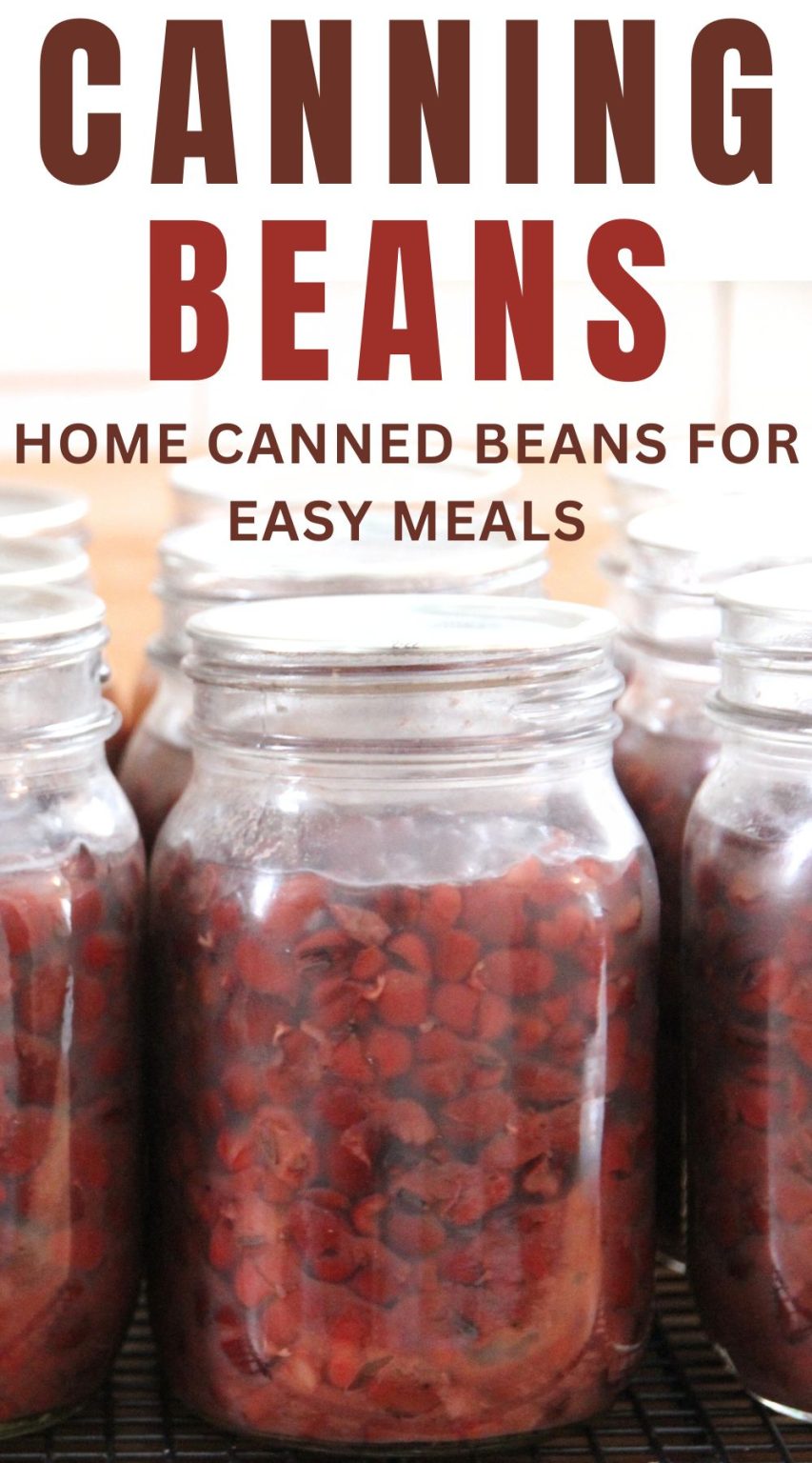 Canning Dry Beans for Easy Meals at Home • A Traditional Life