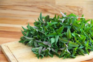 Refreshing Chilled Mint Tea Recipe with Honey • A Traditional Life