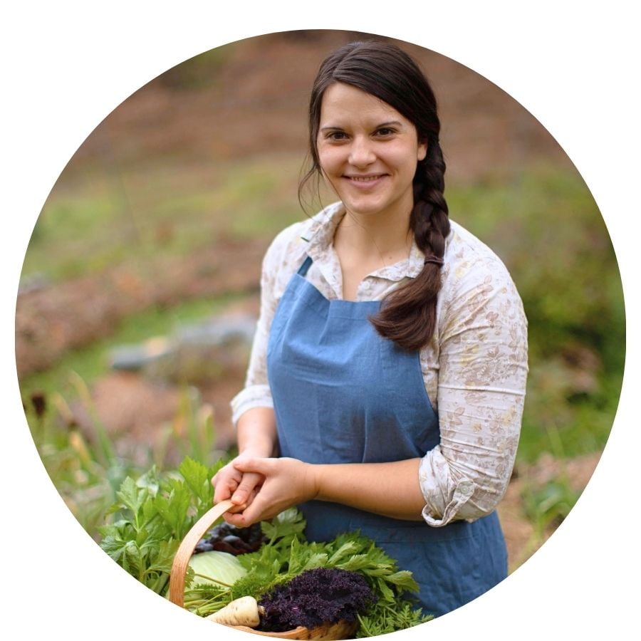 A Simple Method for Pitting Plums Faster • A Traditional Life