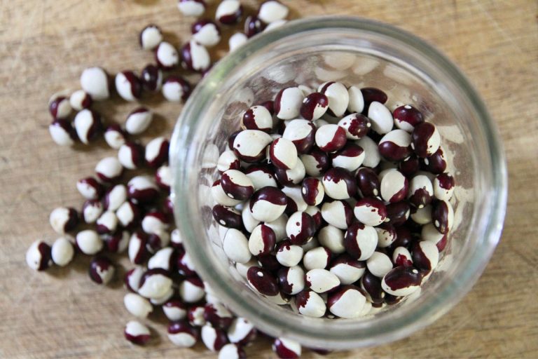 How to Plant and Grow Dry Shelling Beans • A Traditional Life